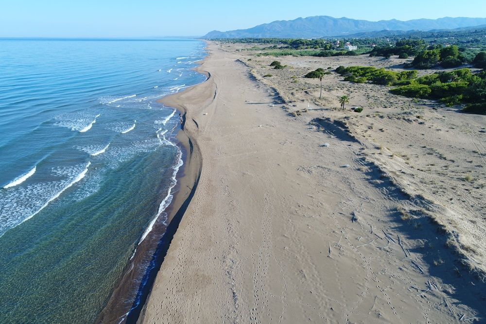 Crete- Rethymno - ARCHELON - Τhe Sea Turtle Protection Society of Greece